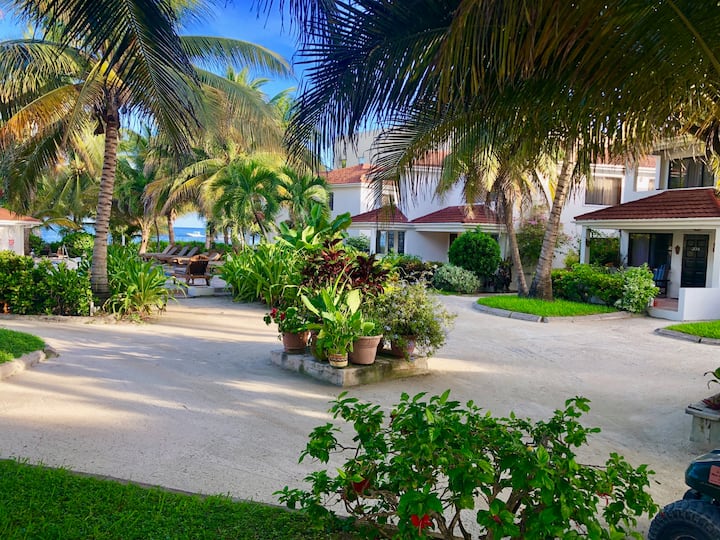 Pv 18b Gold Std It's Tropical Paradise! - Belize