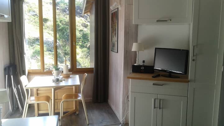 Appartement 4 Pers 200m Remontées - Oz-en-Oisans