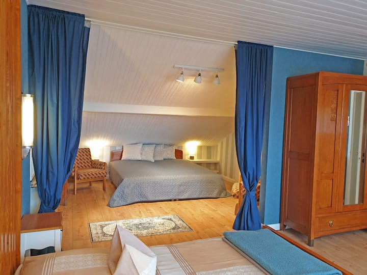 Green Island In The City - Budapest