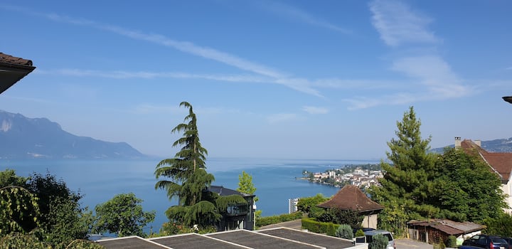 Magnifique Appartement Dans Montreux - Vevey