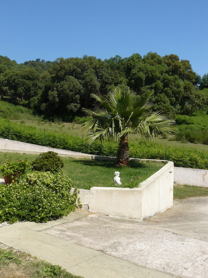 U Limone 2 -T2  40m2 - 2 Pers. Entre Terre Et Mer - Plage de Santa-Lucia-di-Moriani