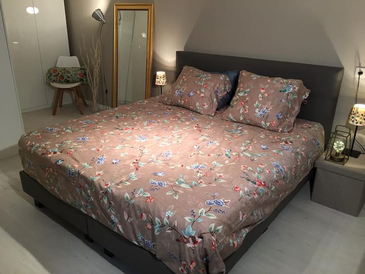 Ekeren Rustige Ruime Kamer Met Badkamer - Schoten