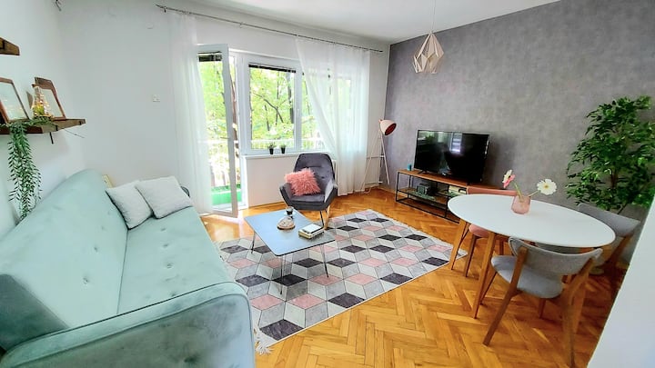 Inner City Two Bedroom Apartment In City Center - 斯科普里