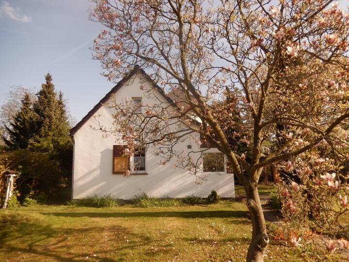 Ferienhaus Im Grünen In Leipzig-liebertwolkwitz - Leipzig
