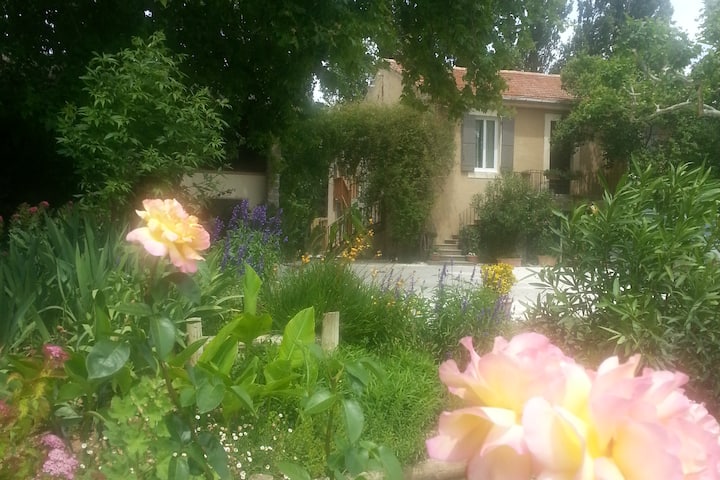 Vacances Familiales à L'oustaou Des Girardes. - Cavaillon