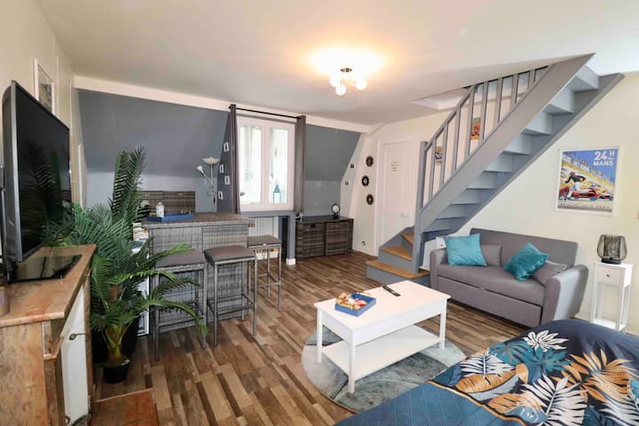 Duplex Avec Petit Déj. Smart Tv-wifi. Centre V - Le Mans