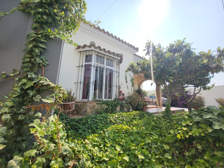 Papilius Machaon1 - Chiclana de la Frontera