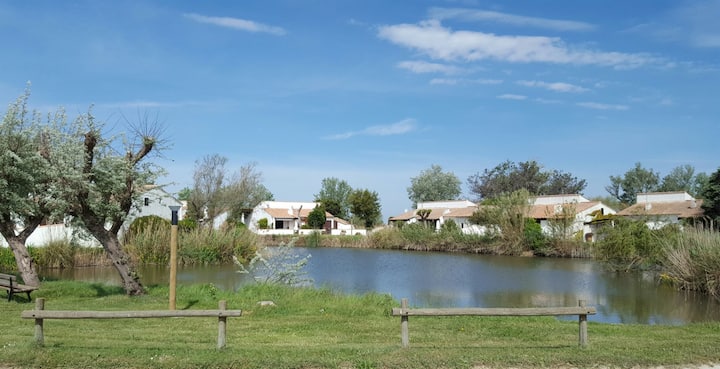 Mazet De La Sauvagine - Camargue