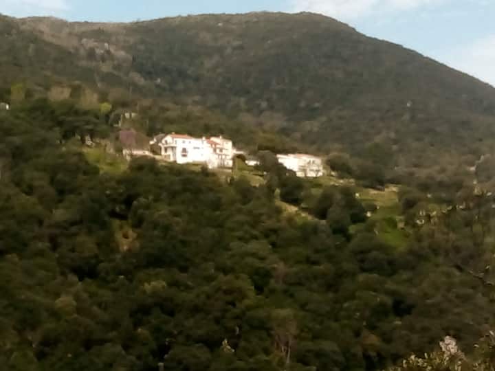 Gite Rurale Pour 8 Personnes Sur Les Haut De Ceret - Céret