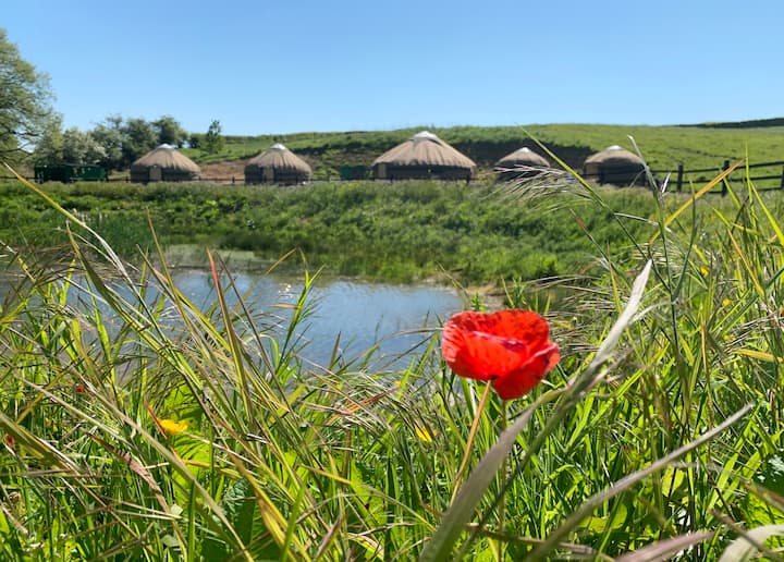 Shire Farm Yurt Village - Horncastle