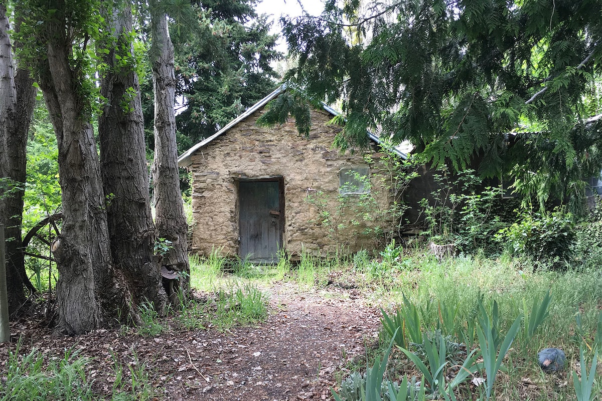 Cobertizo de esquiladores de Lye Bow - Graneros en renta en Butchers ...