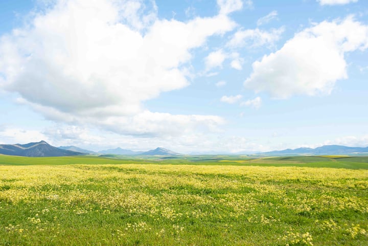 Boskloof Farm Escape - Western Cape