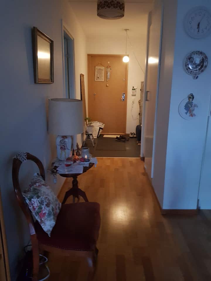 Acogedor Y Tranquilo. - Lund