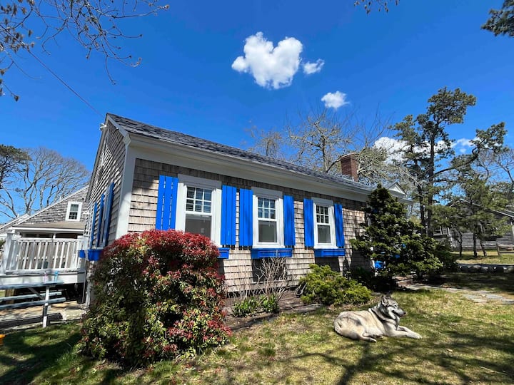 Summer In The Cape!5min Wlk 2 Beach & Pelham House - Dennis