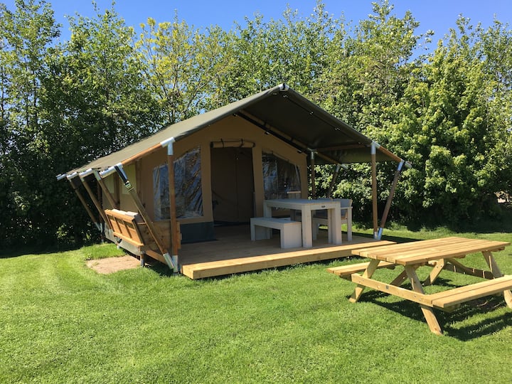 Safaritent 5prs  | Vlakbij Gouda | Cheese Valley - Gouda