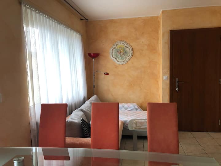 Gemütliche Wohnung In Der Nähe Des Sees - Vira