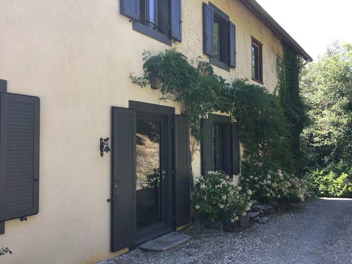 Grande Maison  Exposée Plein Sud, Avec Piscine - Plateau de Beille