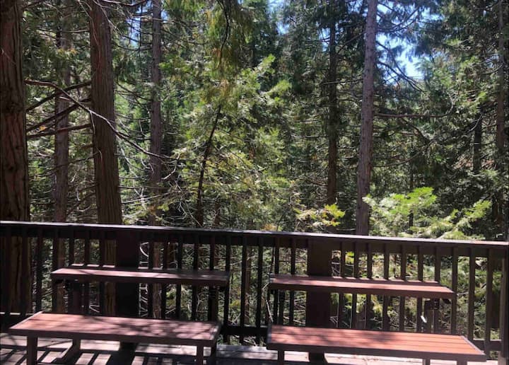 Family Friendly Condo Feels Secluded, Forest Views - Shaver Lake, CA