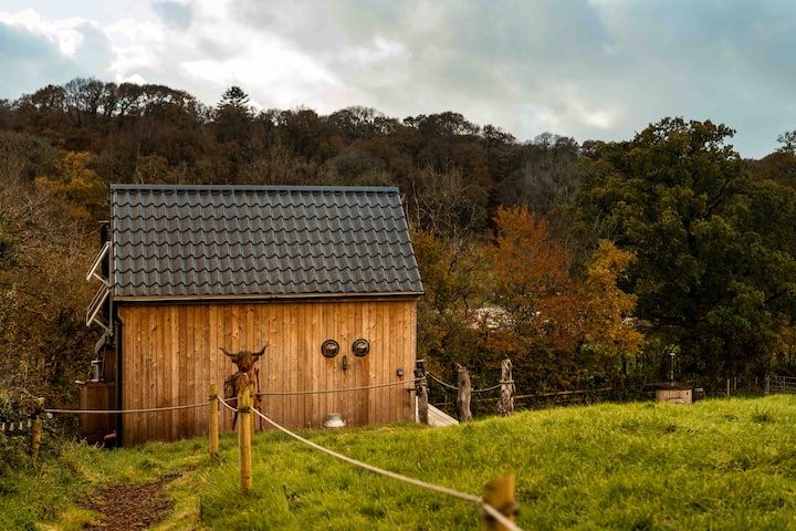 The Twit For Twoo - Devon