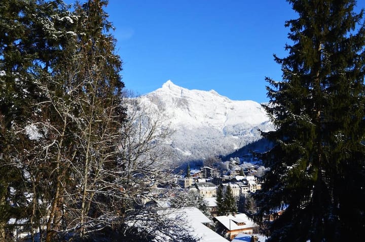 Le Cerf Blanc Avec Vue Sur Le Massif Du Mont Blanc - Les Houches