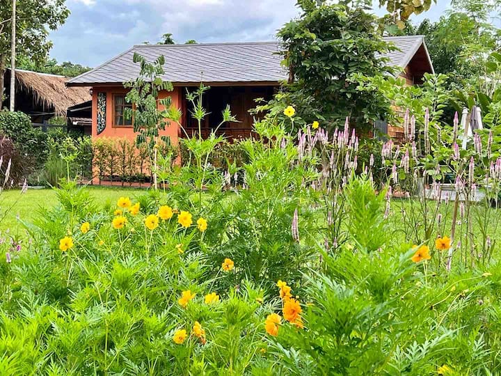 Garden Cottage - Chiang Mai