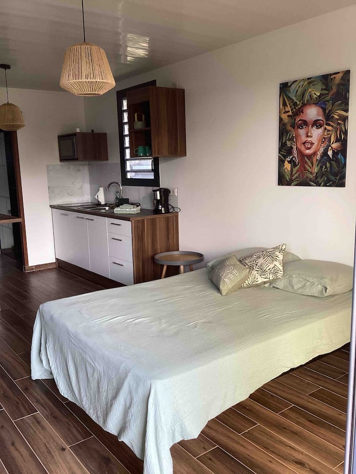 Le Cocon De Lys - Studio - Cayenne