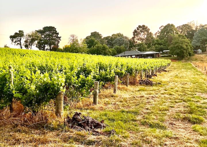 Braemore ~ Adelaide Hills Farm Stay - Hahndorf