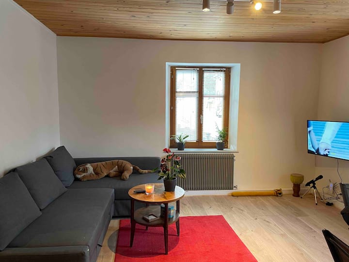 Le Hohwald Centre Appartement 2 Pièces #102 - Le Hohwald