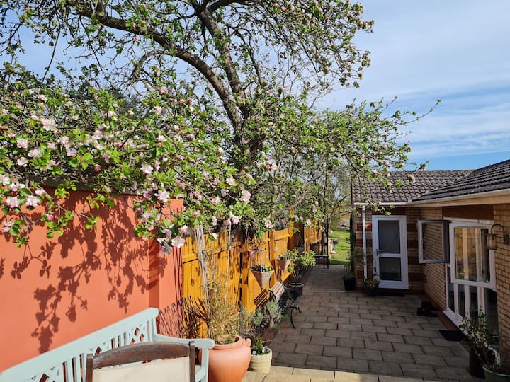 Lovely Private Annexe In Garden With Fruit Trees - Cambridge