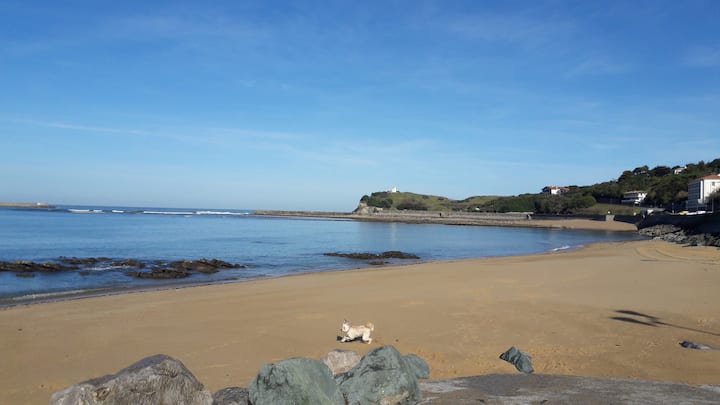 Coeur De Ville St Jean De Luz Plage à Pied En 3' - Saint-Jean-de-Luz