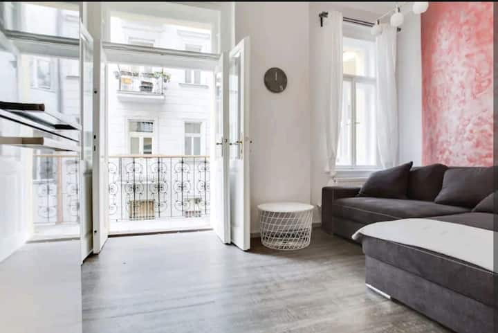 Big Apartment 2bds In The Center For 8 - Prague