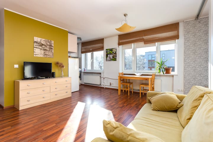 Apartment 100 Steps From Hilton - タリン