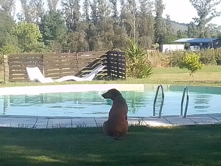 Cabaña Todo Pasa - Tandil