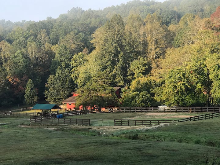 Huge Farm With Yoga Studio & Private Cottages - Blairsville, GA