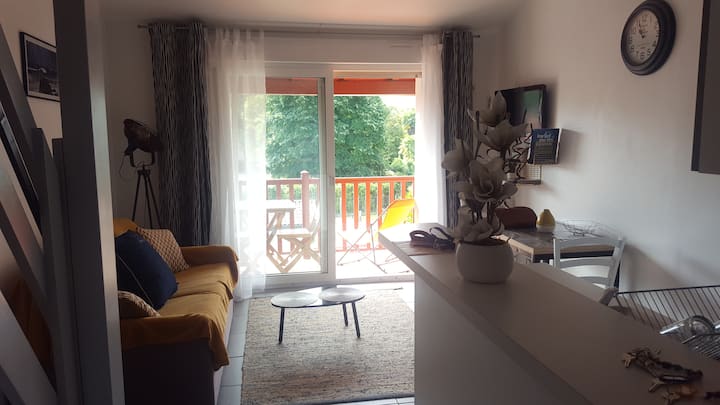 Studio Cocooning Belle Vue Montagne - Centre Ville - Cambo-les-Bains