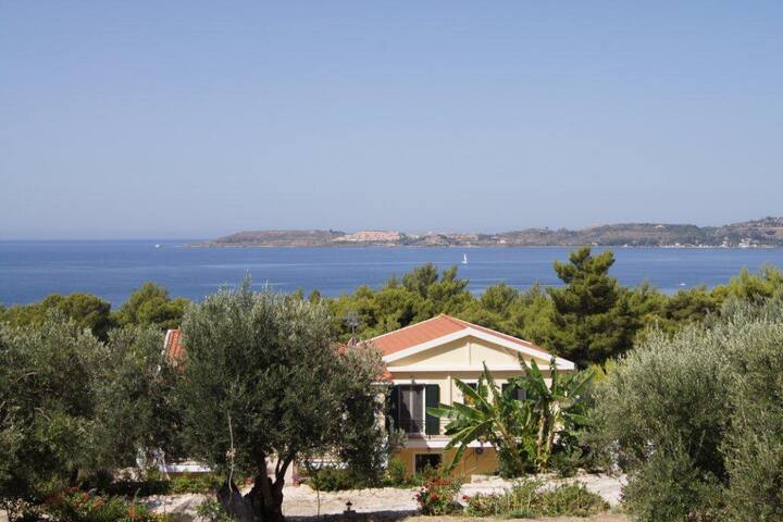 Seapine Garden - Cefalonia