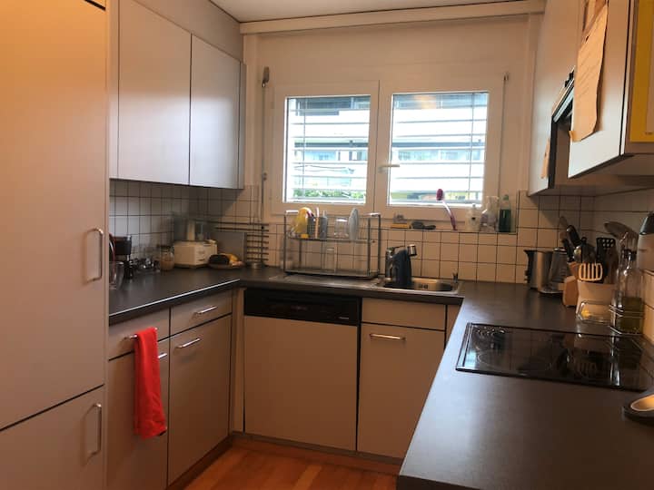 Very Nice, 3 Bedroom Apartment In Wollerau - Rapperswil-Jona