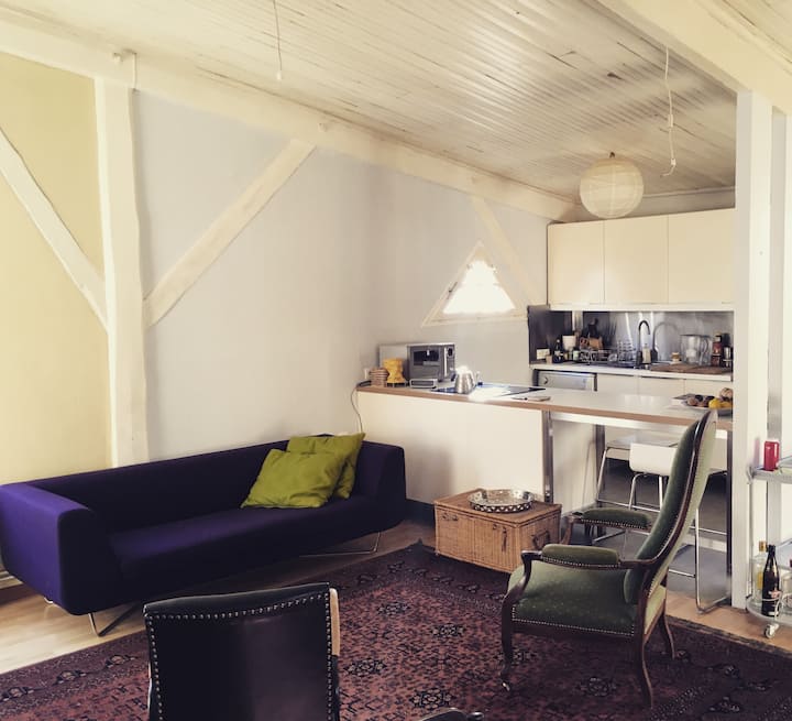 Duplex+terrasse Limite Paris. - Gentilly