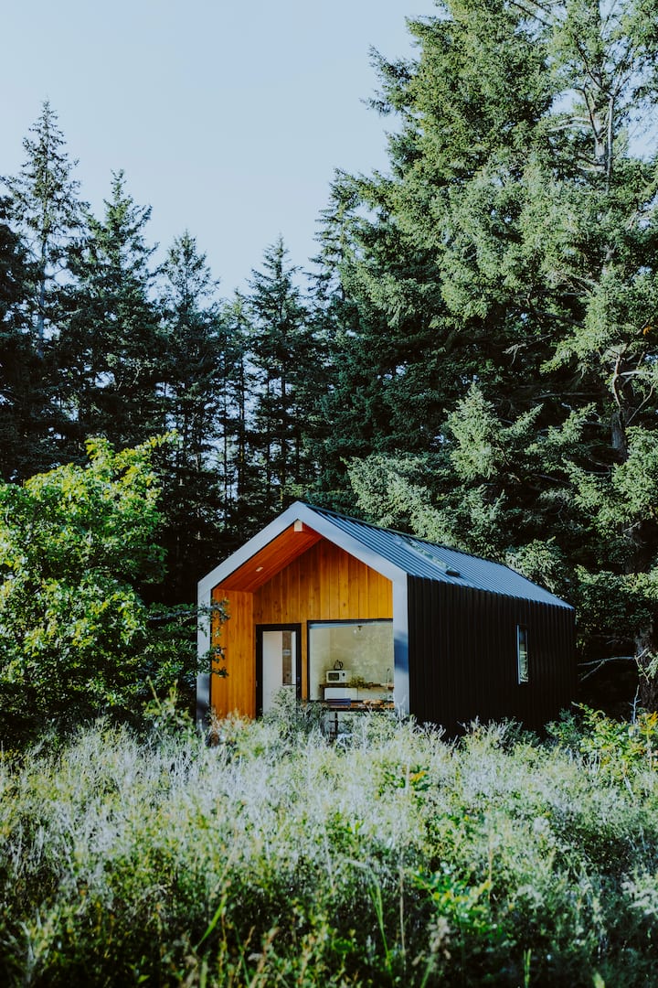 Private Guesthouse Surrounded By Majestic Firs - San Juan Islands, WA
