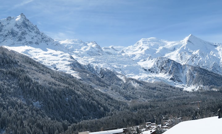 50 M2 - Panoramic View Mont-blanc + Parking - Chamonix-Mont-Blanc