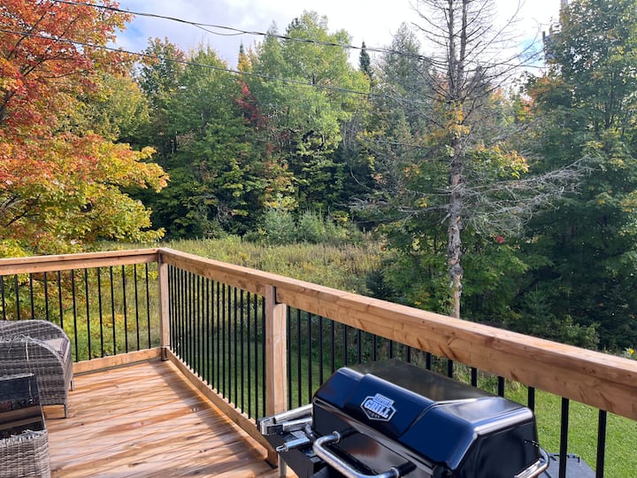 Mountain Lovers Mini Chalet 🏔 💗 View Of Mont Blanc - Laurentides