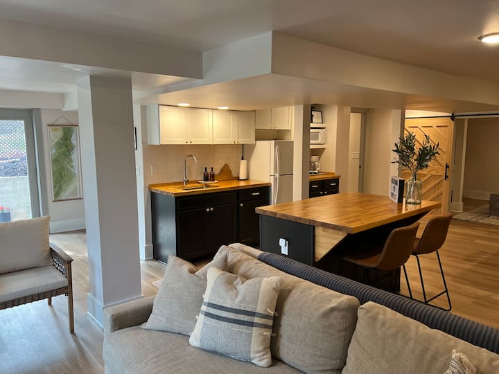 Modern Downtown Apt, Walk To Mall, Near Uva - Charlottesville, VA
