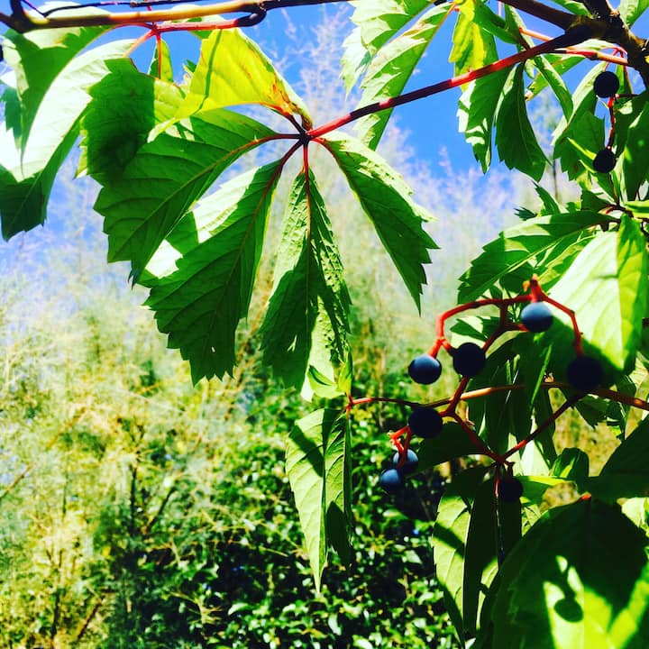 Montpellier - Proche Plages
Parking Gratuit - Montpellier
