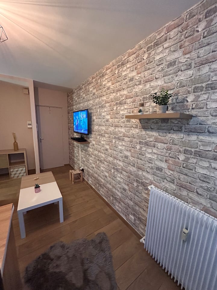 Zola’ Superbe Studio Avec Balcon - Laxou