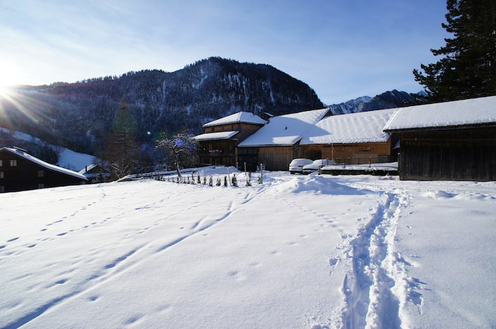 Appartement Dans Chalet Historique Charmey Suisse - Charmey