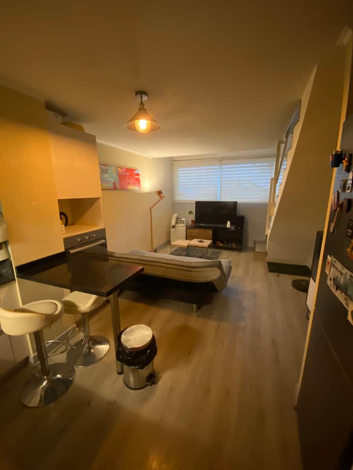 Acogedor Loft Con Excelente Ubicación - Santiago, Chile