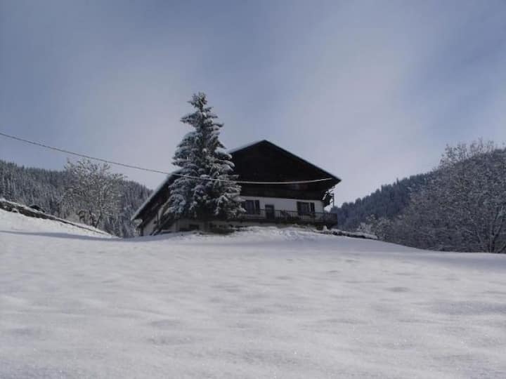 Grand Appartement Dans Chalet Traditionnel - Areches Beaufort