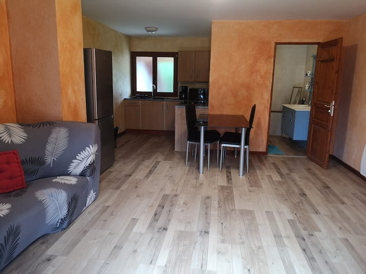Appartement T2 En Duplex Dans Une Maison Au Calme - Belley