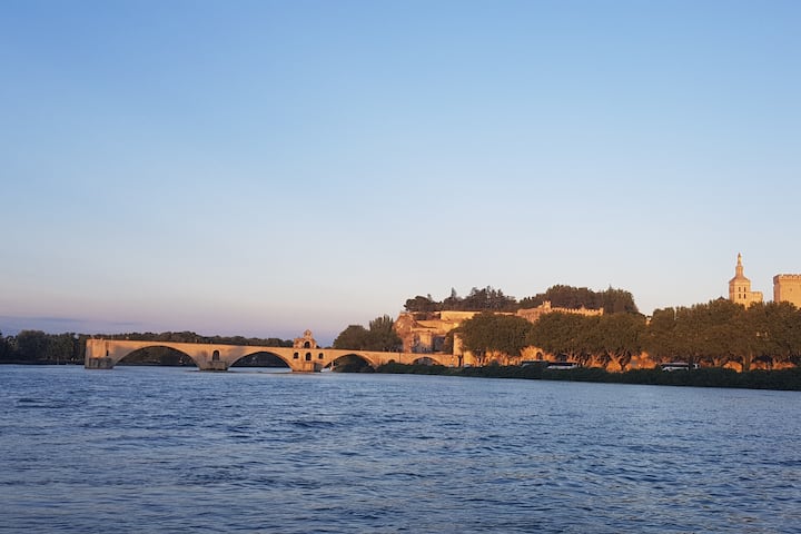 Villa Au Coeur De La Provence En Avignon - Avignon