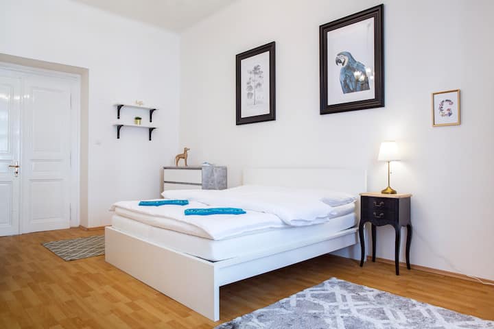 ★★★ Large 3 Bdr Apt ❤ In The Heart Of Prague ★★★ - Praga